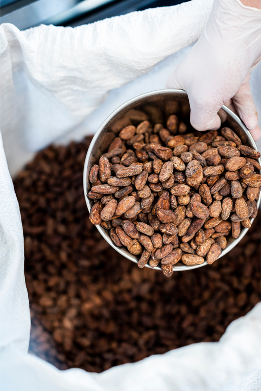 Georgia Ramon Bean to Bar Schokolade